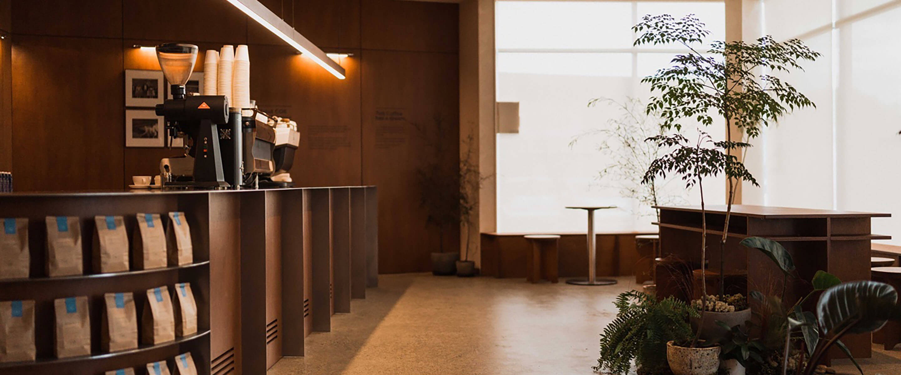 Tob Coffee, Cafe, North Shore - Metro